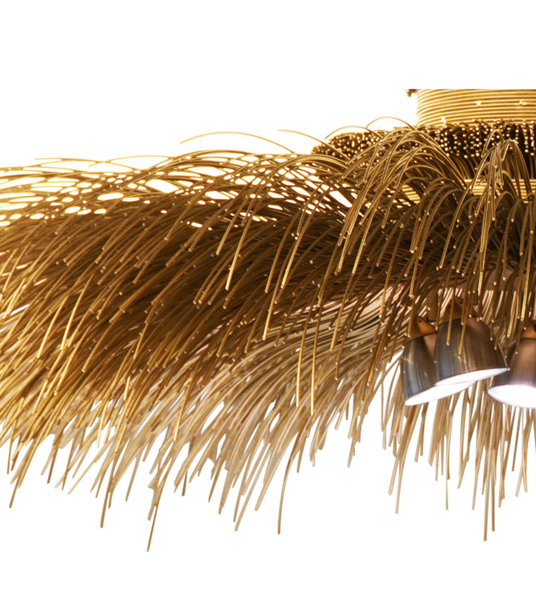 Palm Chandelier - Eric Brand