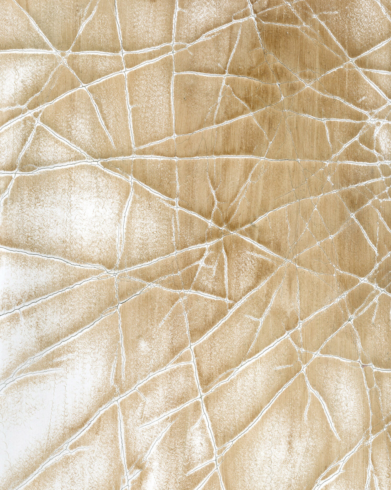 Specialty - Eric Brand